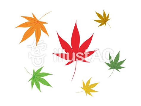 とてもシンプルな紅葉（もみじ） 無料素材 イラスト かわいい おしゃれ シンプル ベクター 秋 もみじ ポップ 商用利用