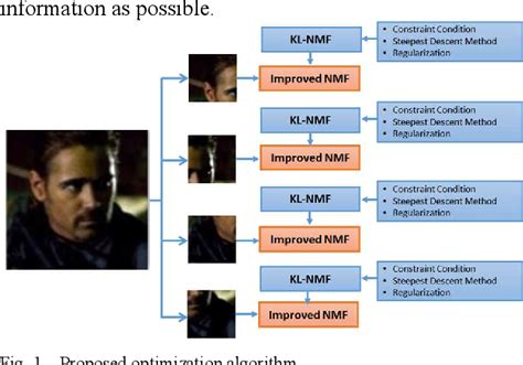 A Study Of Optimization Algorithm Based On Non Negative Matrix Factorization For Face Age