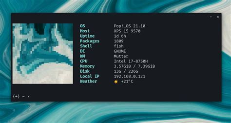 [oc] giving neofetch the love it deserves r unixporn