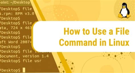 How To Use A File Command In Linux LinuxWays