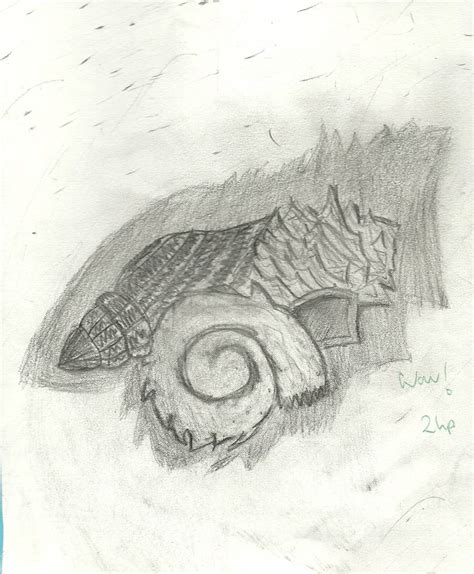 Shell Sketching By Tamia8000 On Deviantart