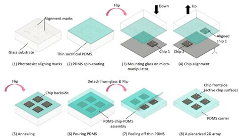 The Polydimethylsiloxane Pdms Based Fabrication Procedures For