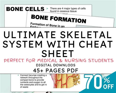 Skeletal System Notes Pages With Cheat Sheet Intro To Skeletal System Skeleton Anatomy