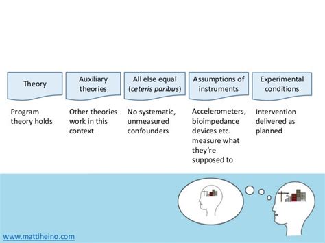 Program Theory Evaluation