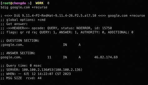 dig命令命令常见用法 dig txt csdn博客