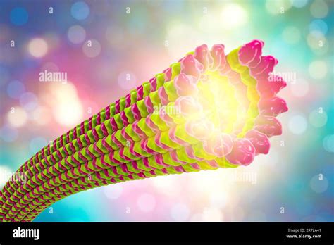 Microtubules 3d Computer Artwork Microtubules Are Polymers Of The