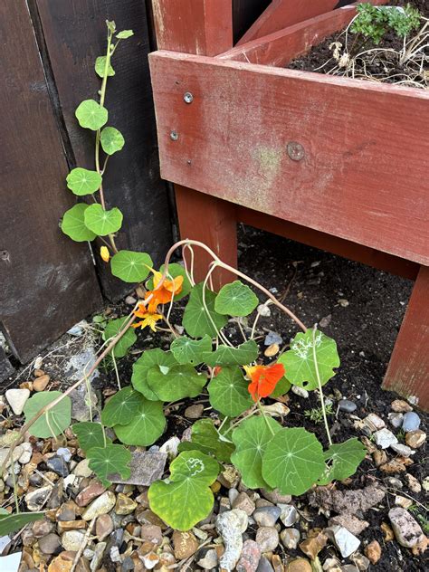 Some Garden Photos Album On Imgur Some Garden Photos Album On Imgur