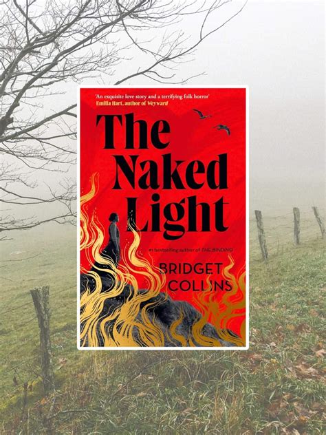 Book Review The Naked Light By Bridget Collins Rebel Angel