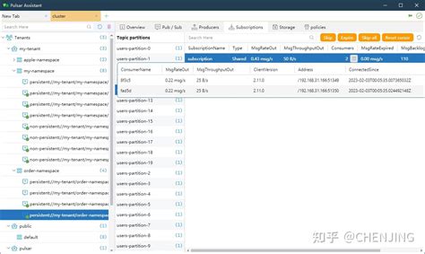 apache pulsar 桌面端图形化管理工具 知乎