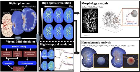 Ut Center For Computational Oncology On Linkedin Spie Jmi