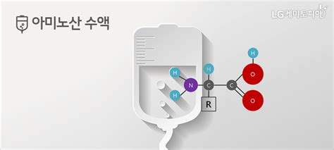 수액의 다양한 종류와 효과