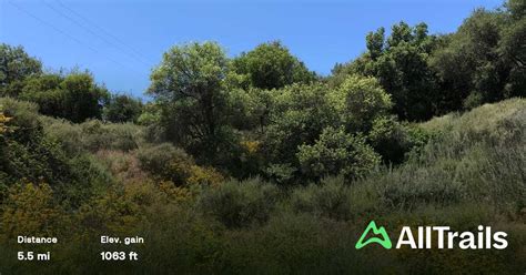 Newhall Pass Weldon Canyon Trail California 223 Reviews Map