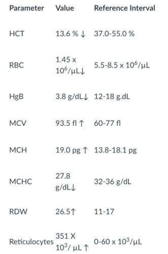 Medicine Study Set Terms And Definitions For Final Exam Flashcards Quizlet