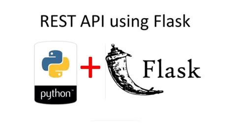 develop custom flask web applications for your business by