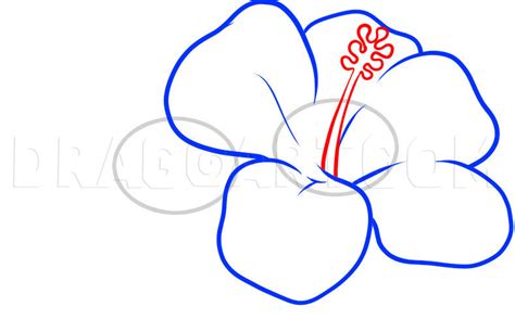 Easy To Draw Hawaiian Flowers