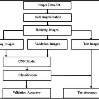 Classification Using CNN Download Scientific Diagram