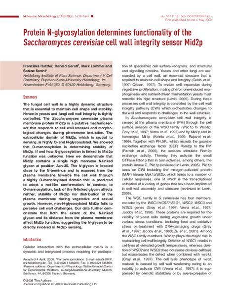 Pdf Protein N‐glycosylation Determines Functionality Of The Saccharomyces Cerevisiae Cell Wall