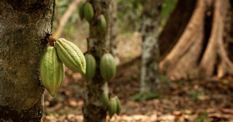 Cfi Lessons Learned In 2023 Achievements And Takeaways From Signatory