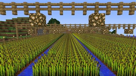 Пшеничное поле майнкрафт постройка фото и картинки Abrakadabra Fun