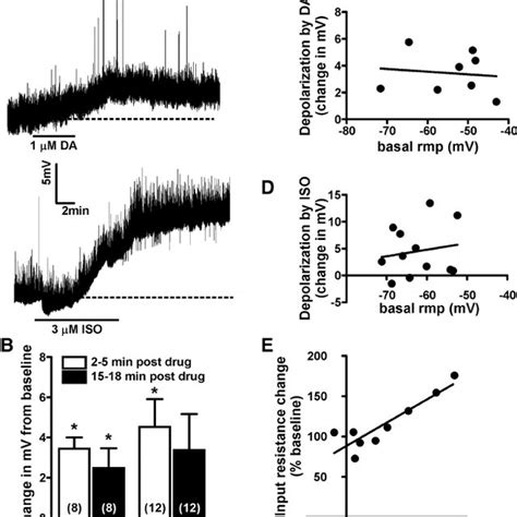 Dopamine And ␤ Adrenergic Receptor Activation Depolarizes Bnst Crf