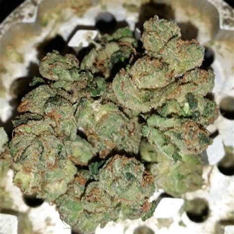 Papas Og Aka Papas Og Kush Big Papa Weed Strain Information Leafly