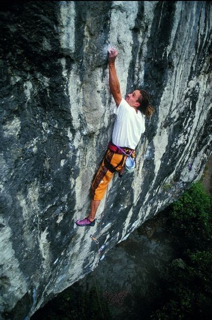 Steve Mcclure Alchetron The Free Social Encyclopedia