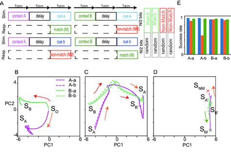 a schematic of the delayed match to sample task b d fast dynamics