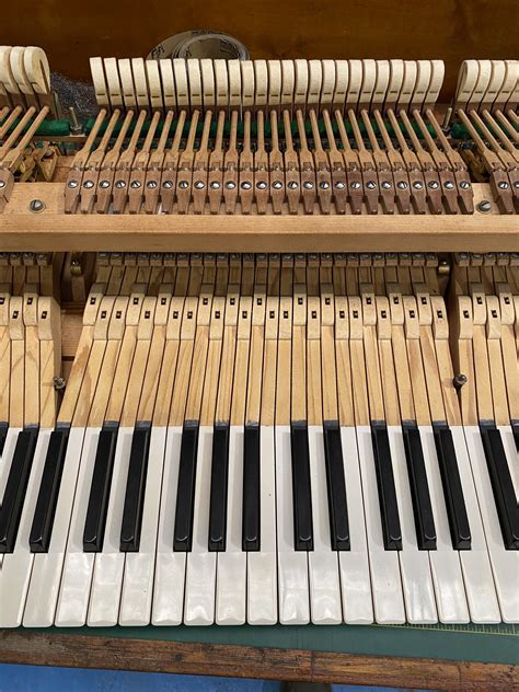 Casio Bechstein Grand Hybrid Digital Piano Action Atelier Yuwaciaojp