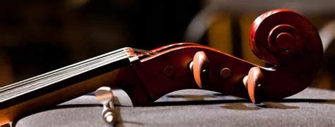 Cello Strings Tuning The Ultimate Guide Ted S List