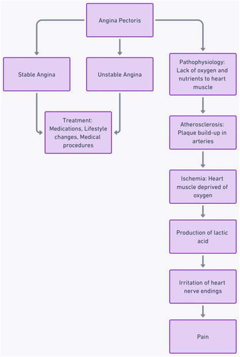 Angina Pectoris A Comprehensive Guide Pharmacology Mentor
