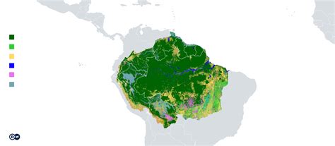 Amazon Deforestation Map