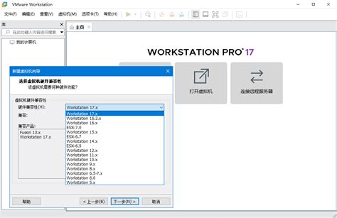 VMware Workstation Pro v 官方正式版 无忧软件