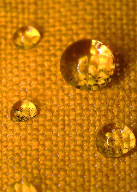 Franklintill Lists Nine Principles For A Shift To Regenerative Materials