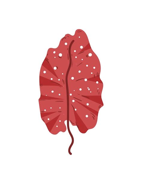 Premium Vector Algae