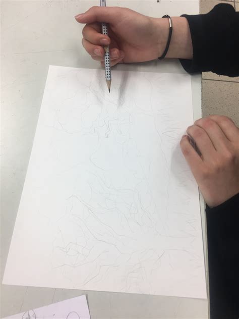How To Draw A Tree Art Education Jessica Russo Scherr