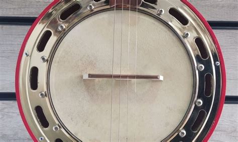 4 String Vs 5 String Banjo How To Choose The Perfect Instrument 4 String Vs 5 String Banjo How To Choose The Perfect Instrument