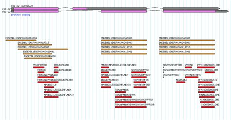 Transcriptional Noise Isoform Prediction And The Utility Of Mass Spec