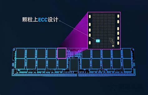 内存ddr5和ddr4的区别是什么？ddr4和ddr5内存的性能差距对比 频率