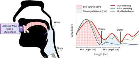 Schematic Representation Of Acoustic Pharyngometry Setup The Three