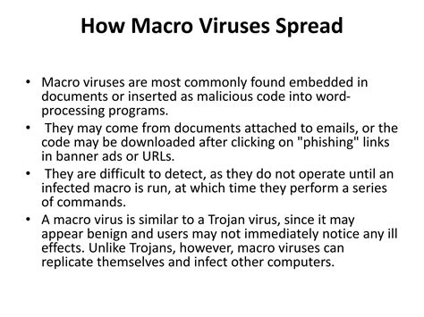 Class 8 Presentation On Computer Virus Macropptx