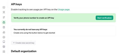 Openai Api Keys