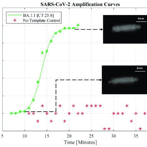 Sars Cov 2 Fitted Amplification Curve And Data With Ntc Data Processed
