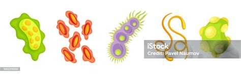 Bacteria And Germs Colorful Microorganisms And Disease Causing Microbe