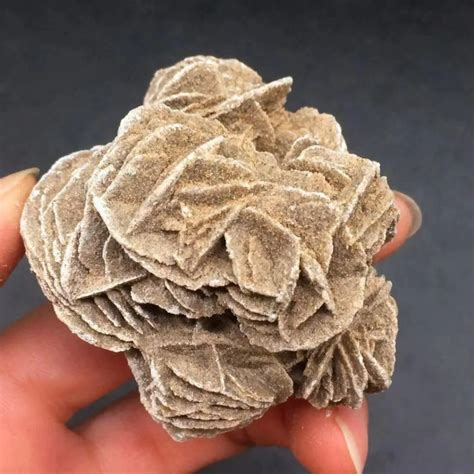 Rosa Del Desierto Formación Ubicación Propiedades Geología