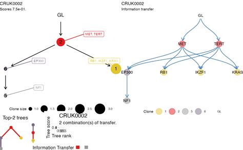 Plot Revolver Trees For A Patient — Plotpatienttrees • Revolver
