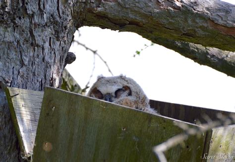 Wehr Nature Center Adventures With Sara And Danny