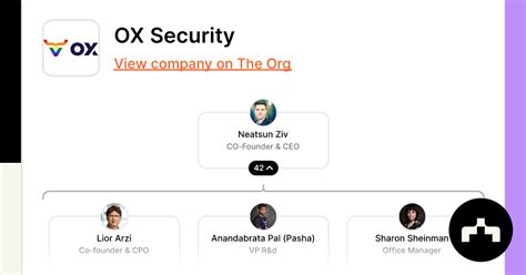 Ox Security The Org