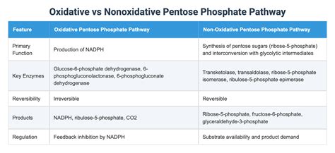 Oxidative Vs Nonoxidative Pentose Phosphate Pathway