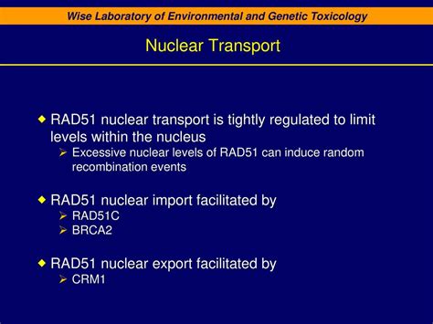 Inhibition Of A High Fidelity Dna Repair Pathway By The Environmental