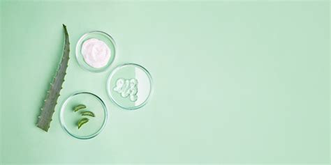 화장품 젤과 알로에 베라 조각이 들어있는 페트리 접시 위의 사진 유기농 화장품 개념 큰 배너 메이크업 화장품에 대한 스톡 사진